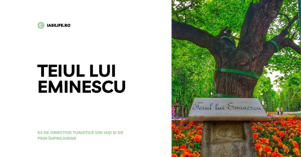 Teiul lui Eminescu - IasiLife